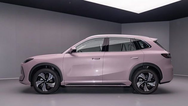 Nyt LFP-batteri har levetid på op til 50 år